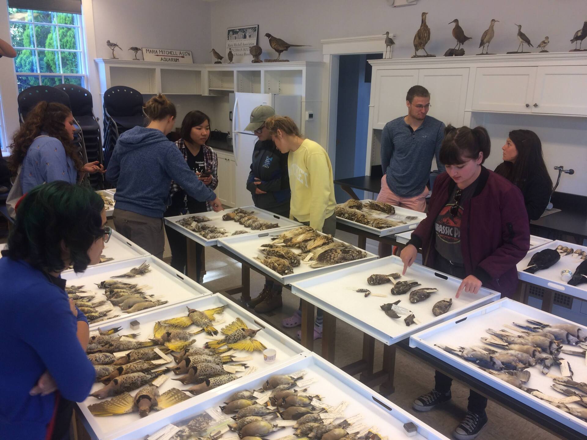 Biodiversity Library | Maria Mitchell Association