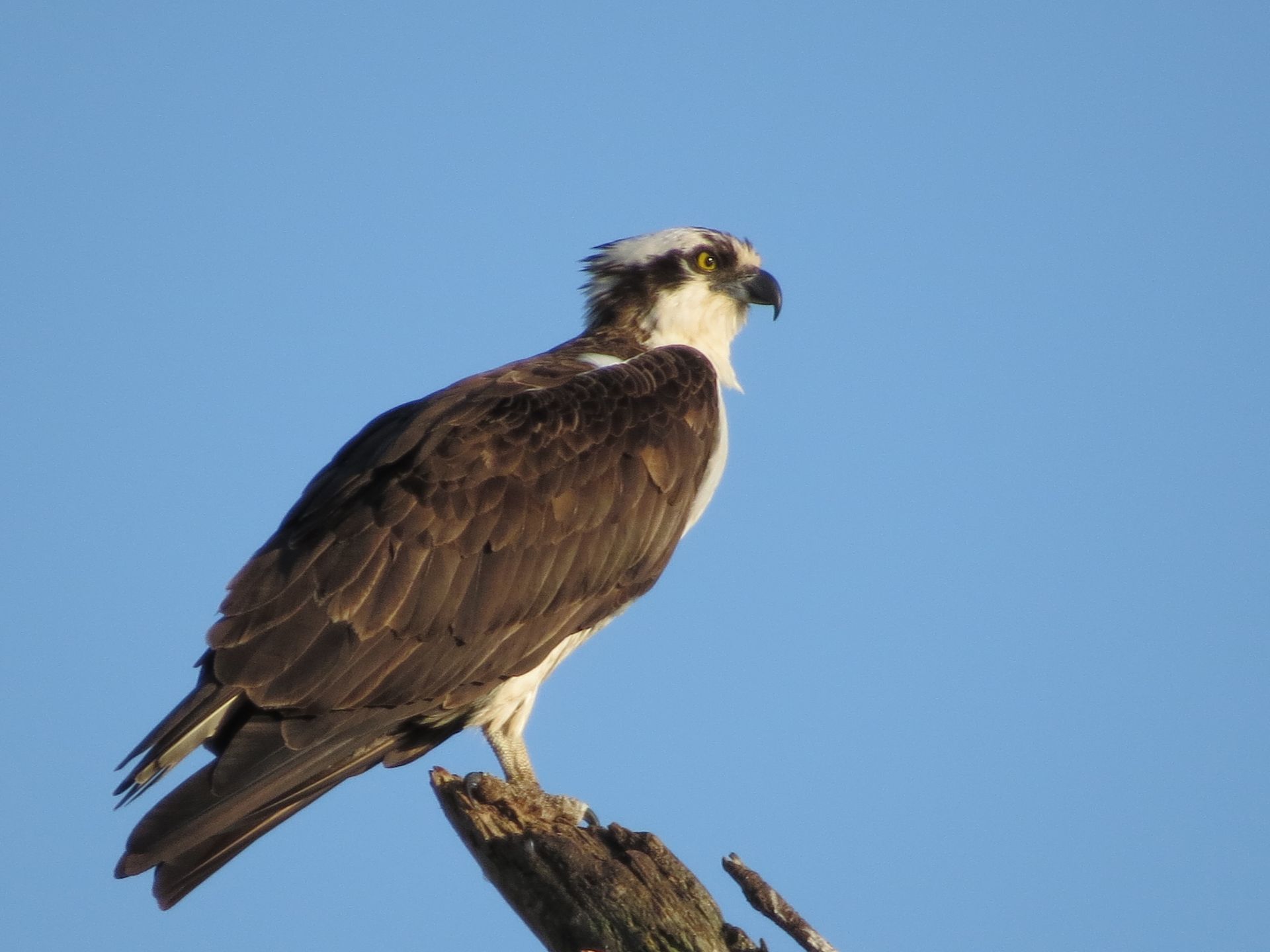 Keep Calm and Bird On: March 2023