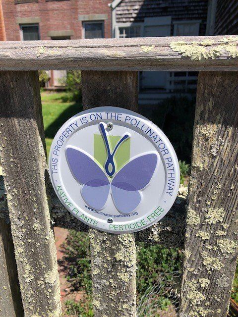 Pollinator Pathway