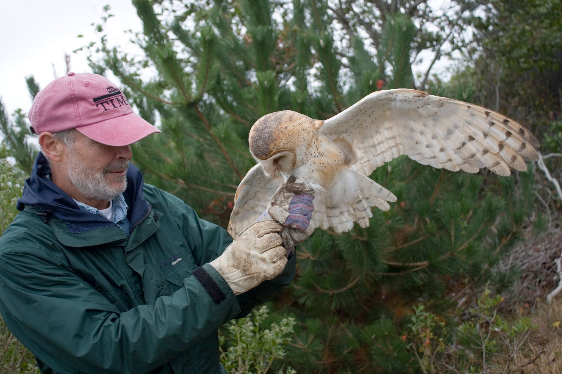 Maria Mitchell Association | Nantucket’s Science Center