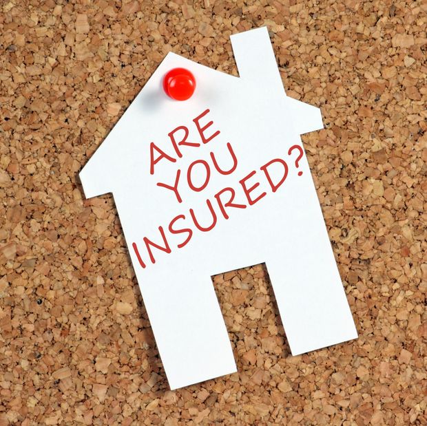 SIM Insurance: Services