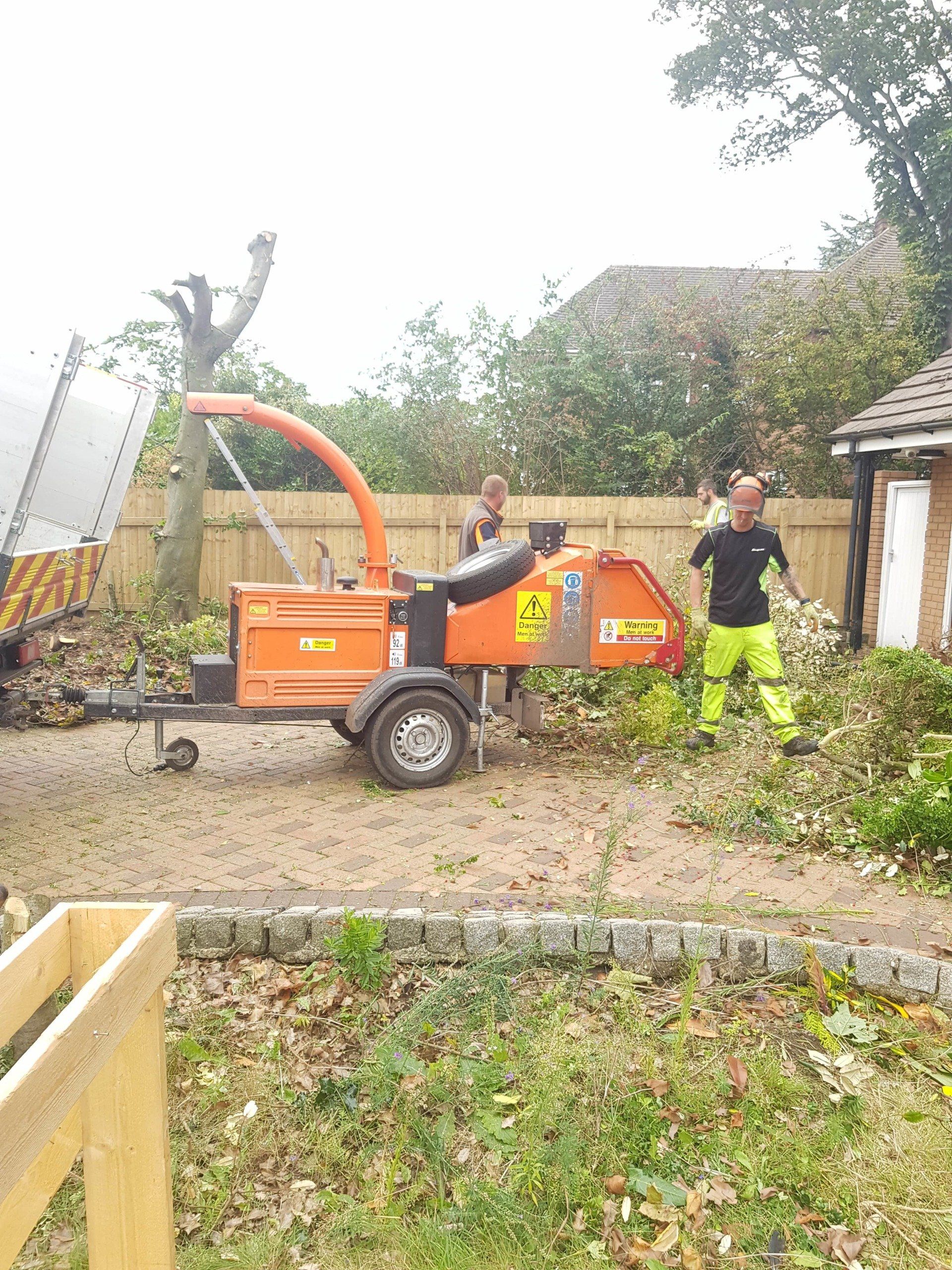 Efficient tree surgeons | GT Trees & Gardens