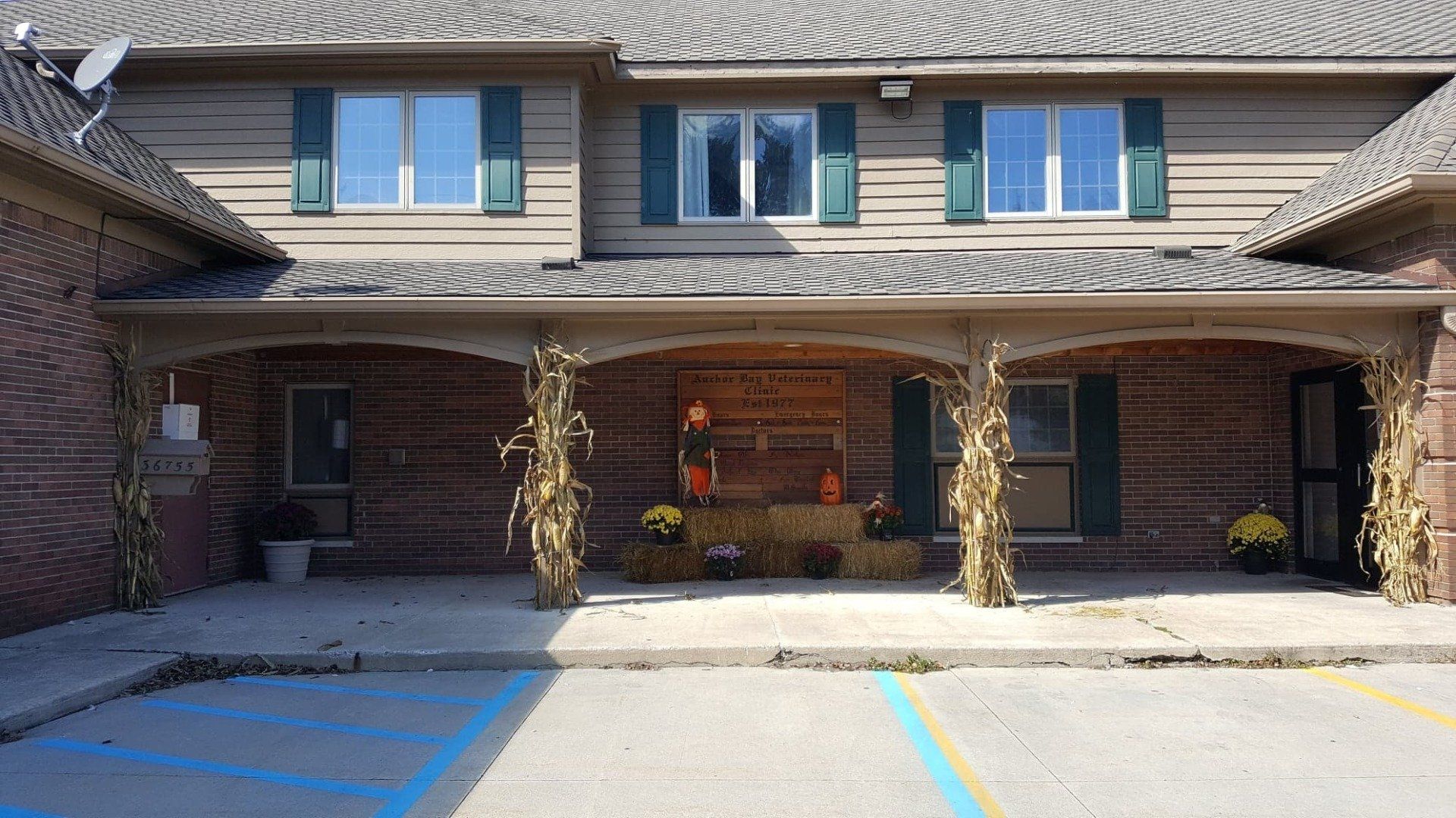 Veterinarian in New Baltimore, MI | Anchor Bay Veterinary Center