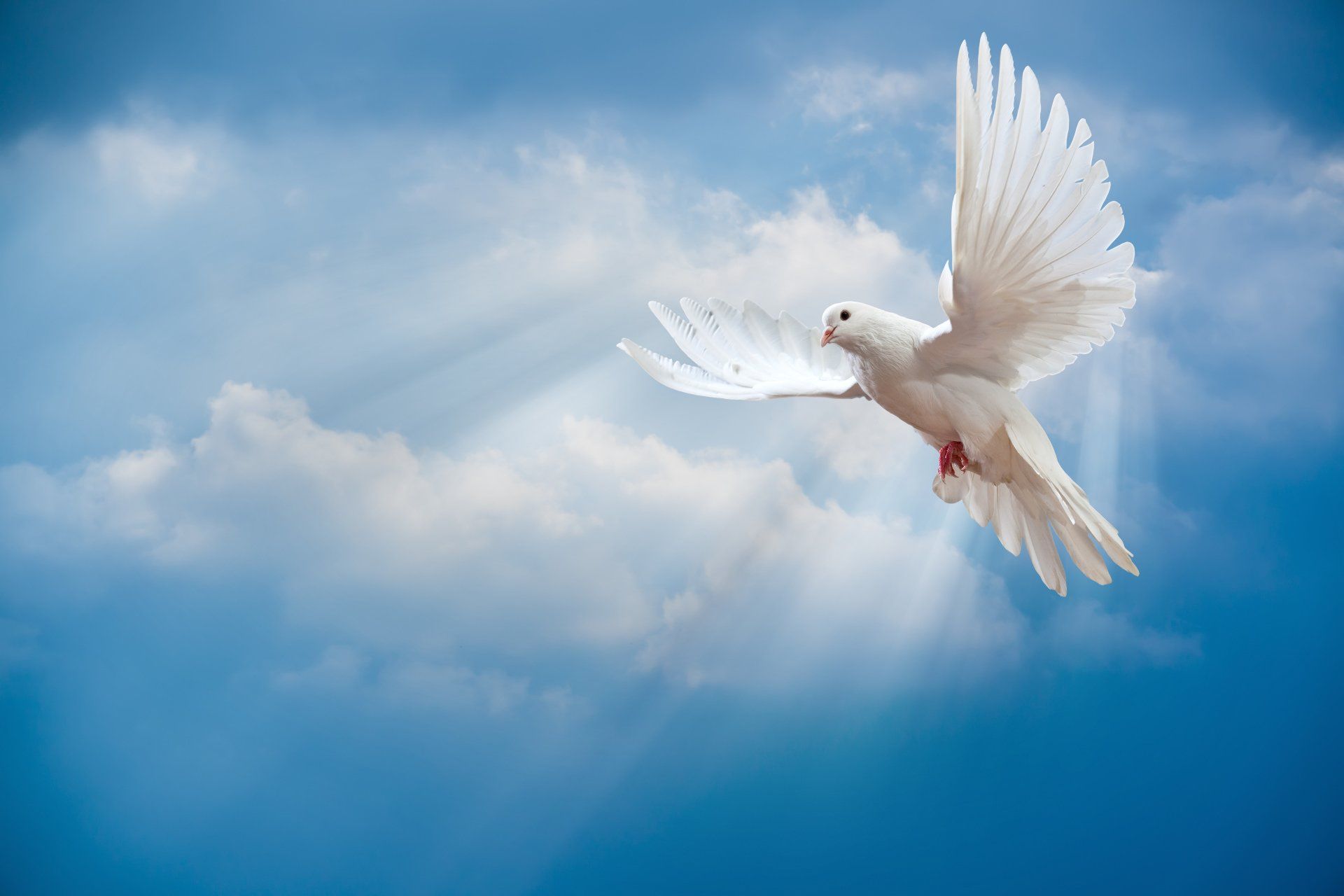 Calvin L Sheffield Funeral Home Inc | Pittsburgh, PA
