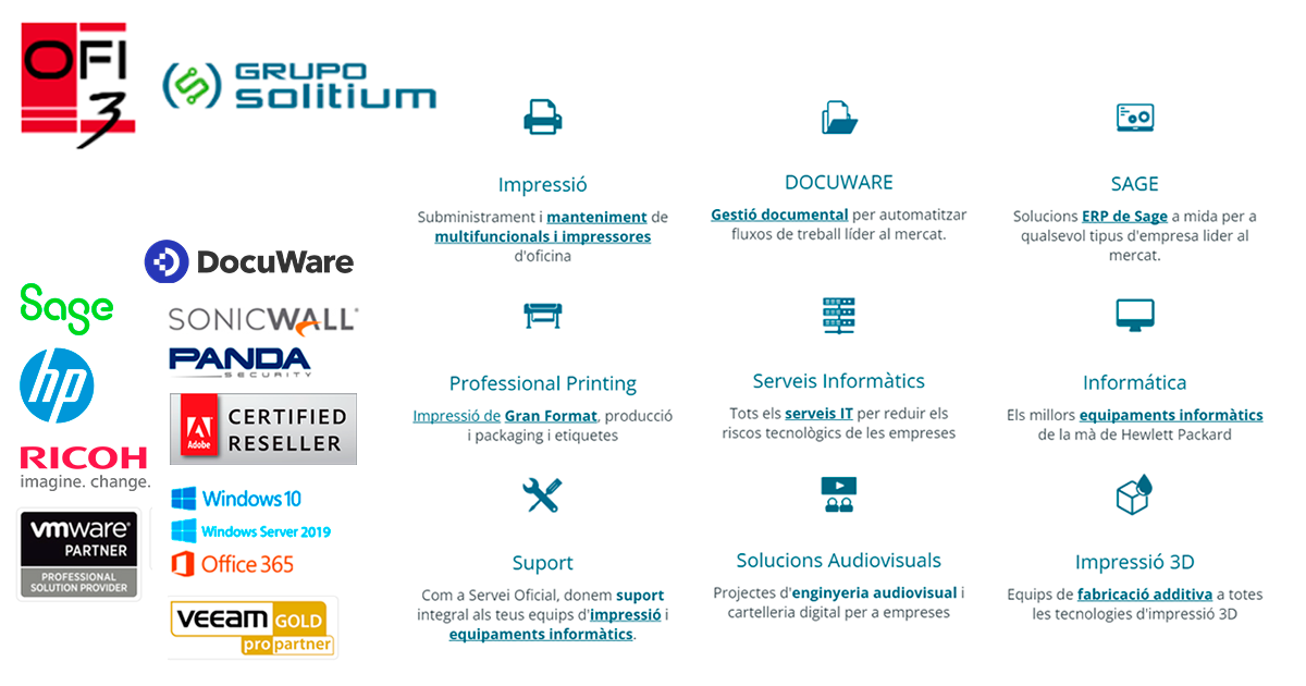 Grupo Solitium: Líder en Solucions TIC i Serveis IT