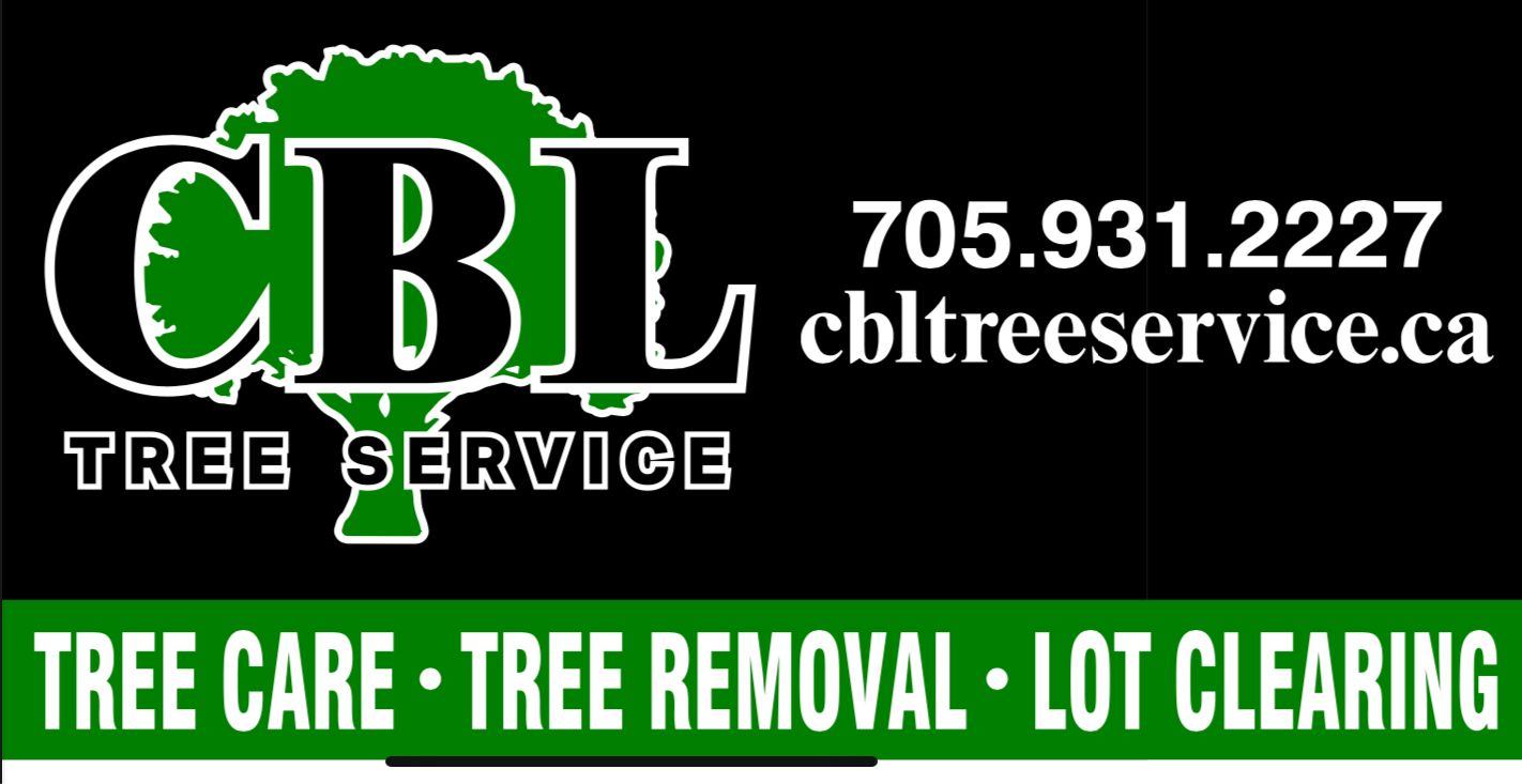 CBL Tree Service | Certified Arborists | Trusted Tree Removal Experts