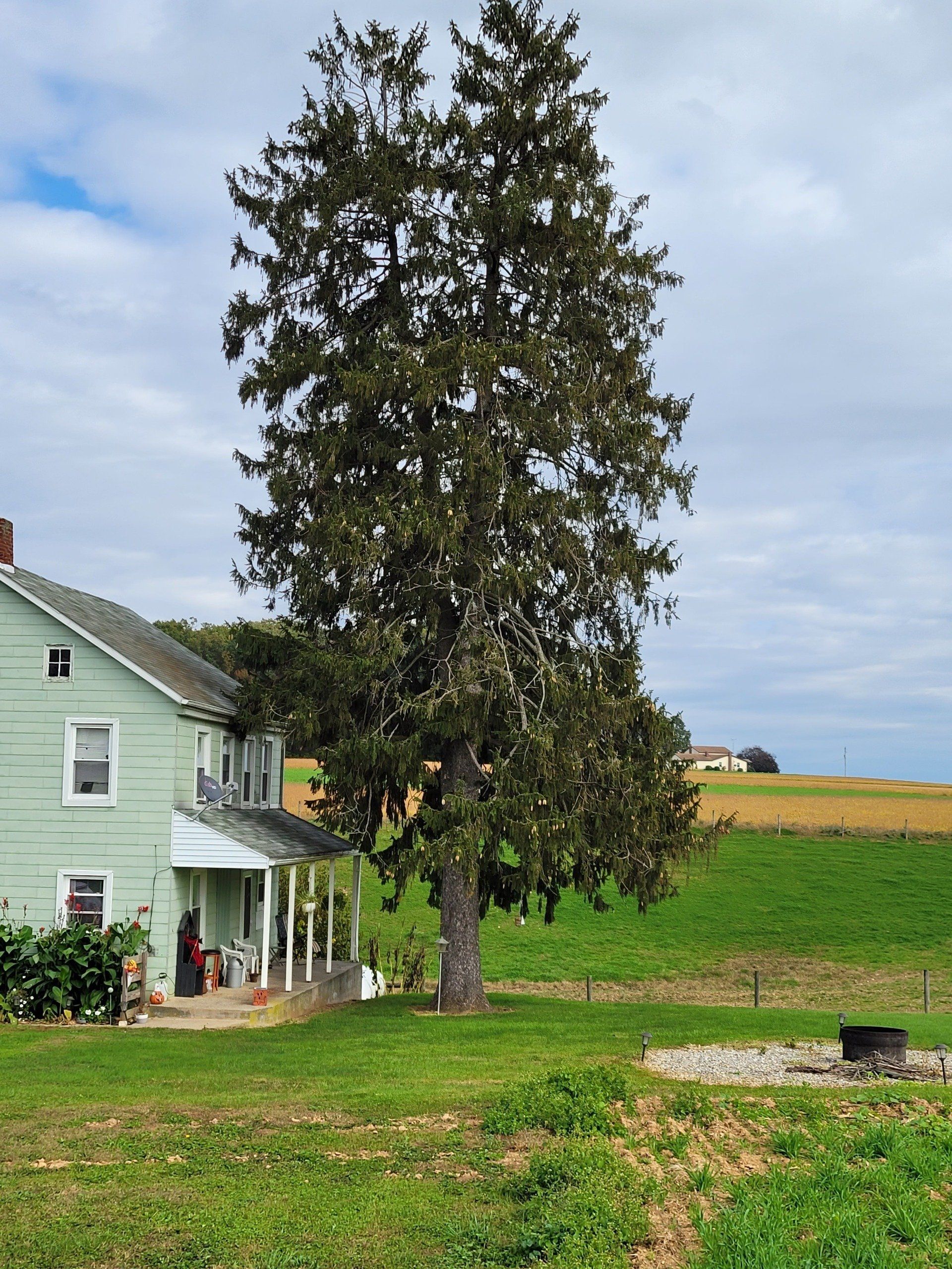 Farm to Table Produce | York, PA | Twin Pine Farm