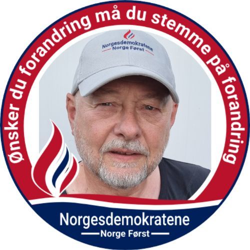Norgesdemokratene i Skien
