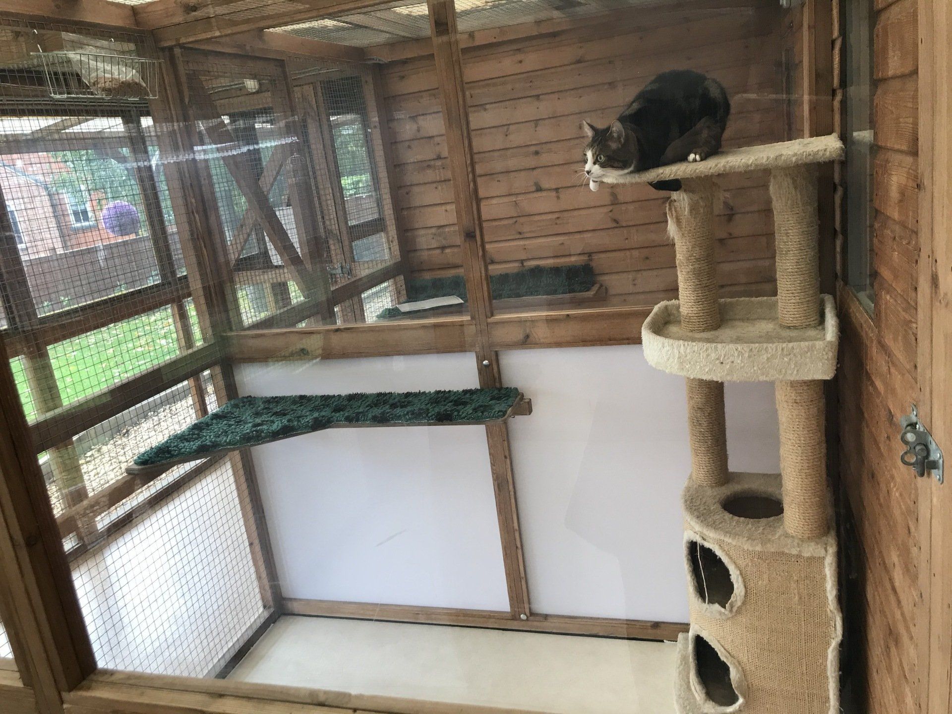 Cat chalets | Cloverlea Cattery