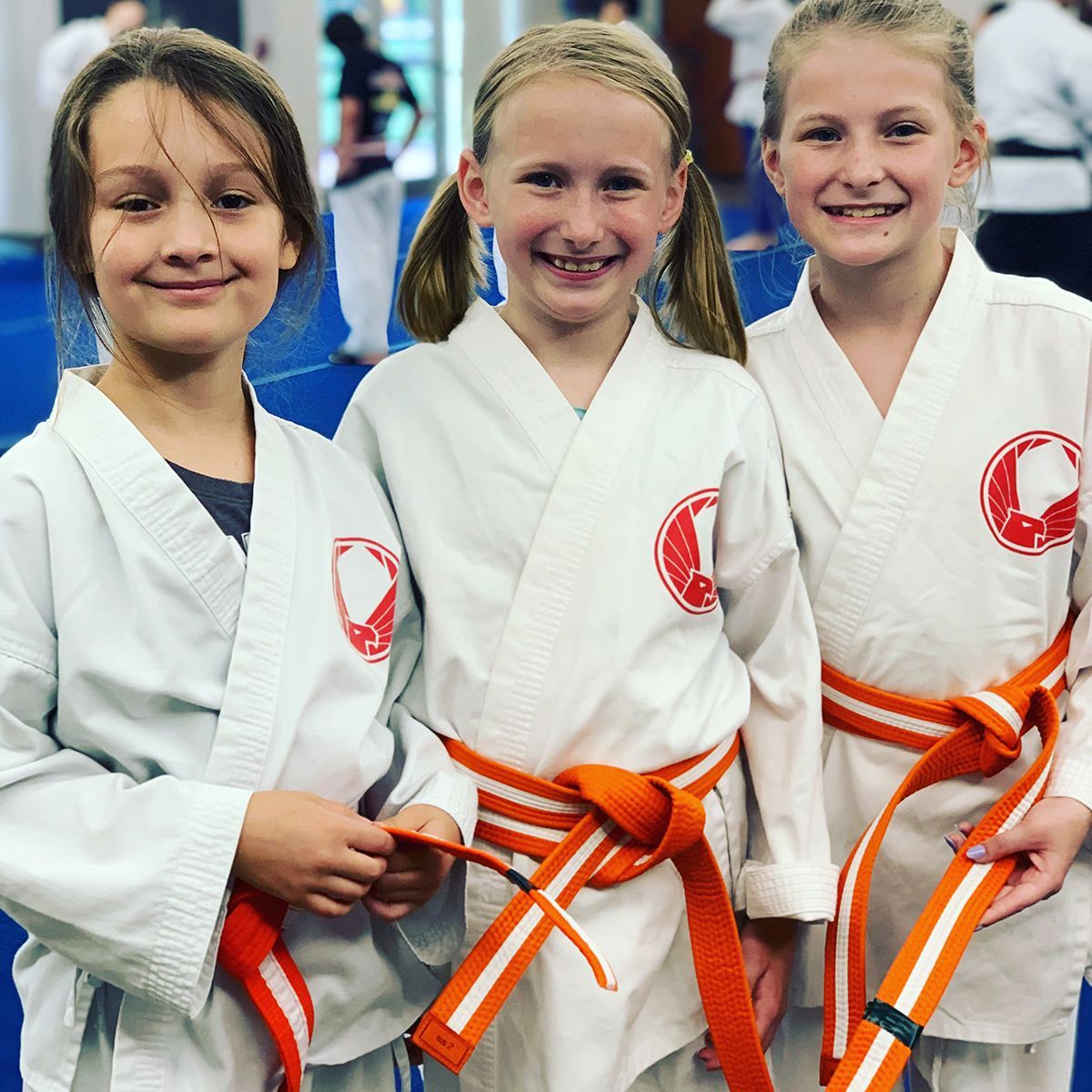 The American Defensive Arts Academy | Keller, TX