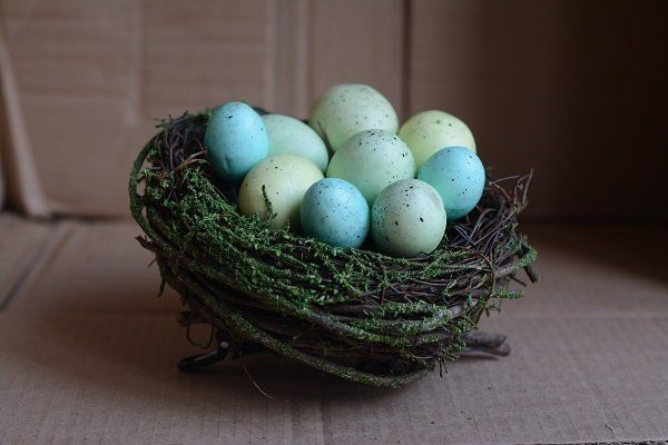 Building Your Nest Egg