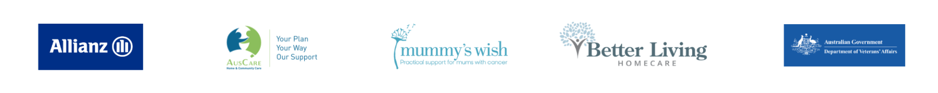 NZ's Largest Agency For Domestic Cleaners | Absolute Domestics