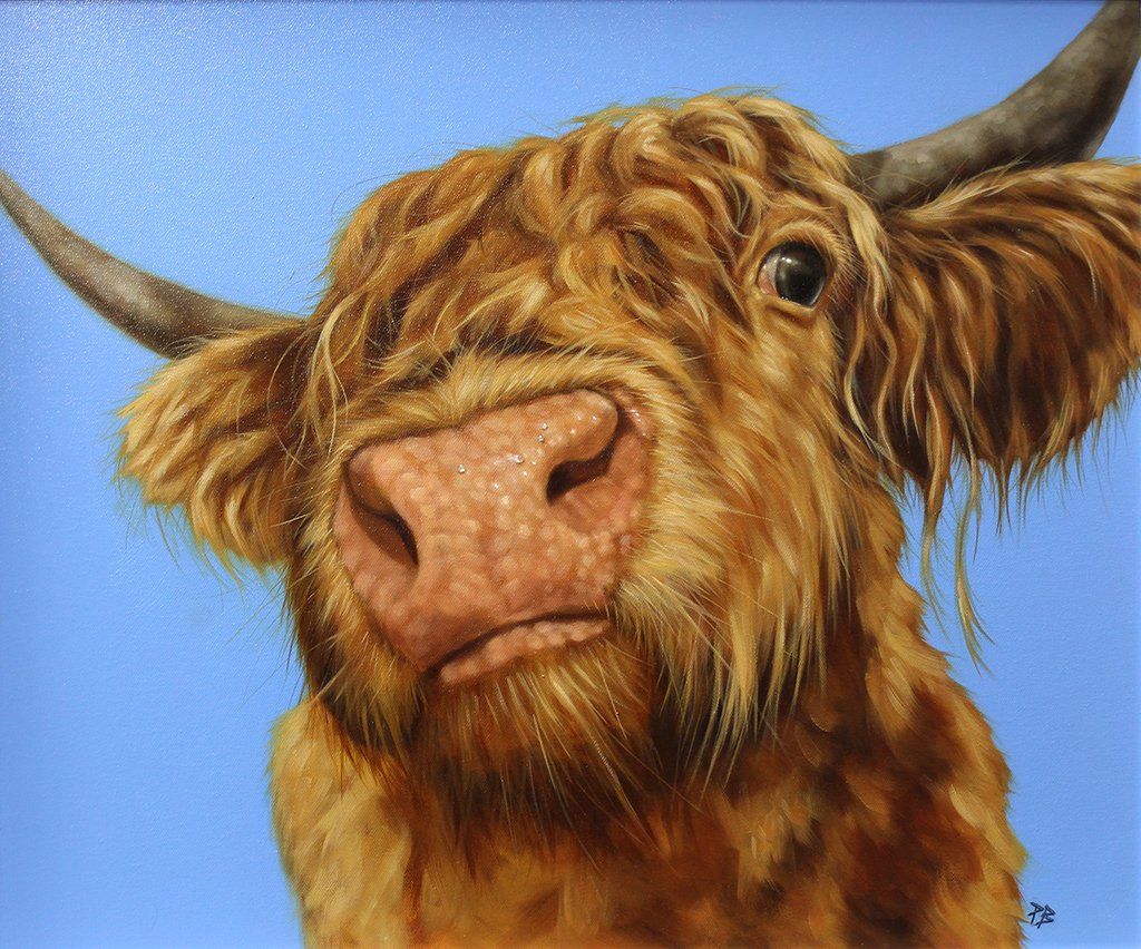 Paul Bell I Cow I Artist I Ballymena