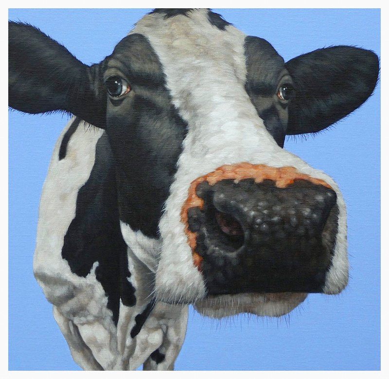 Paul Bell I Cow I Artist I Ballymena