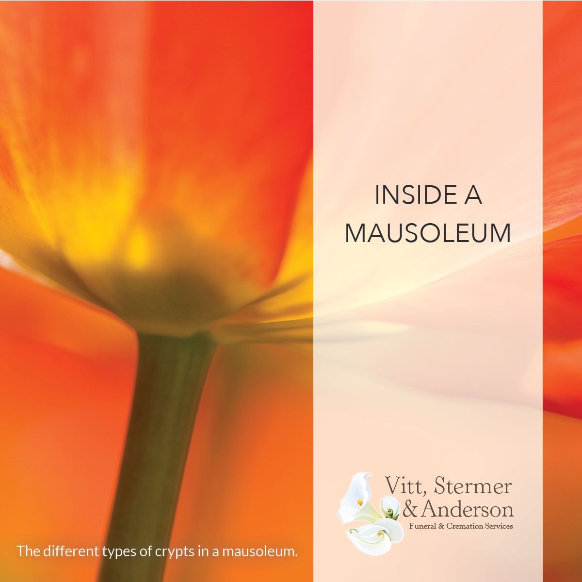 The Different Types of Crypts in a Mausoleum