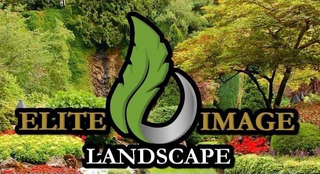 Custom Yard Design | Gainesville, GA | Elite Image Landscape