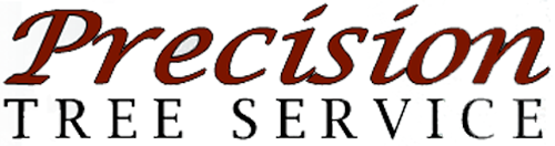 Precision Tree Service | Tree Cutting | Eatonton, Georgia