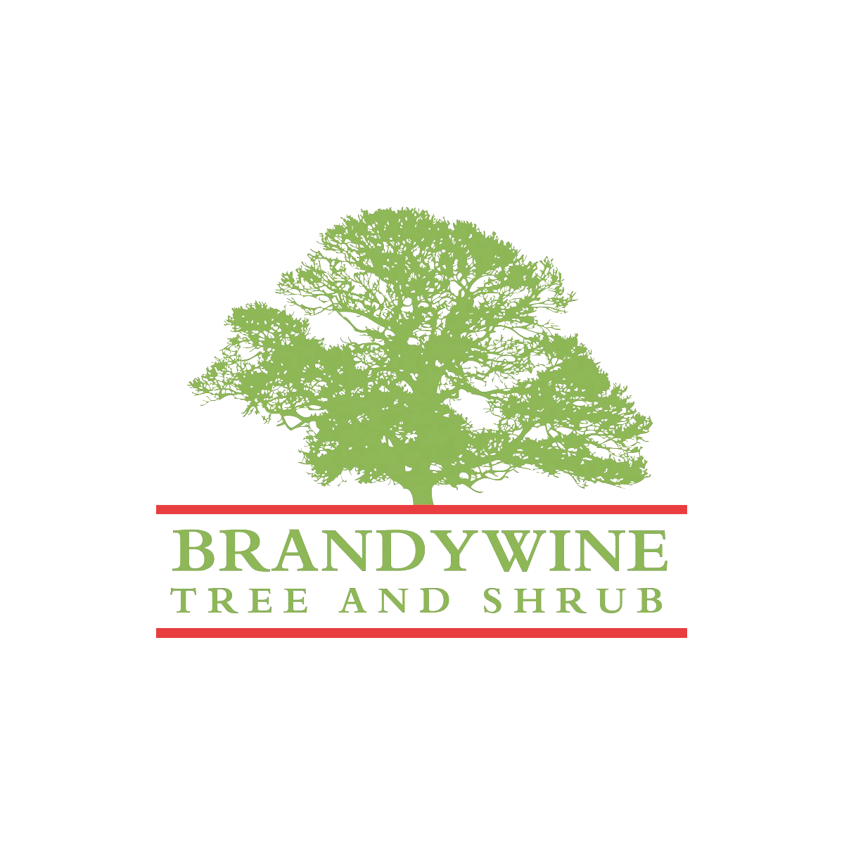 Brandywine Tree & Shrub | Wilmington, DE