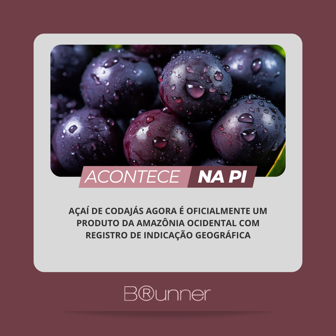Açaí de Codajás agora é oficialmente um produto da Amazônia Ocidental ...