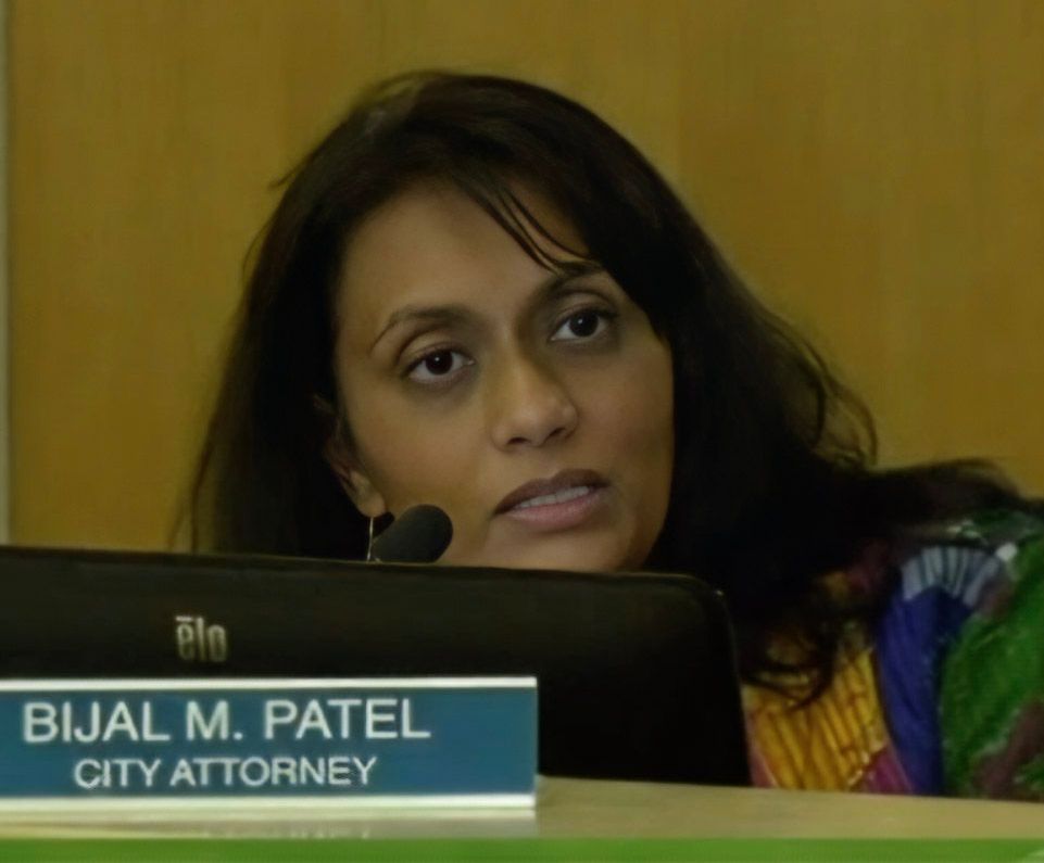 Are Lives Being Put at Risk by Bijal Patel Doing What She Does Best ...