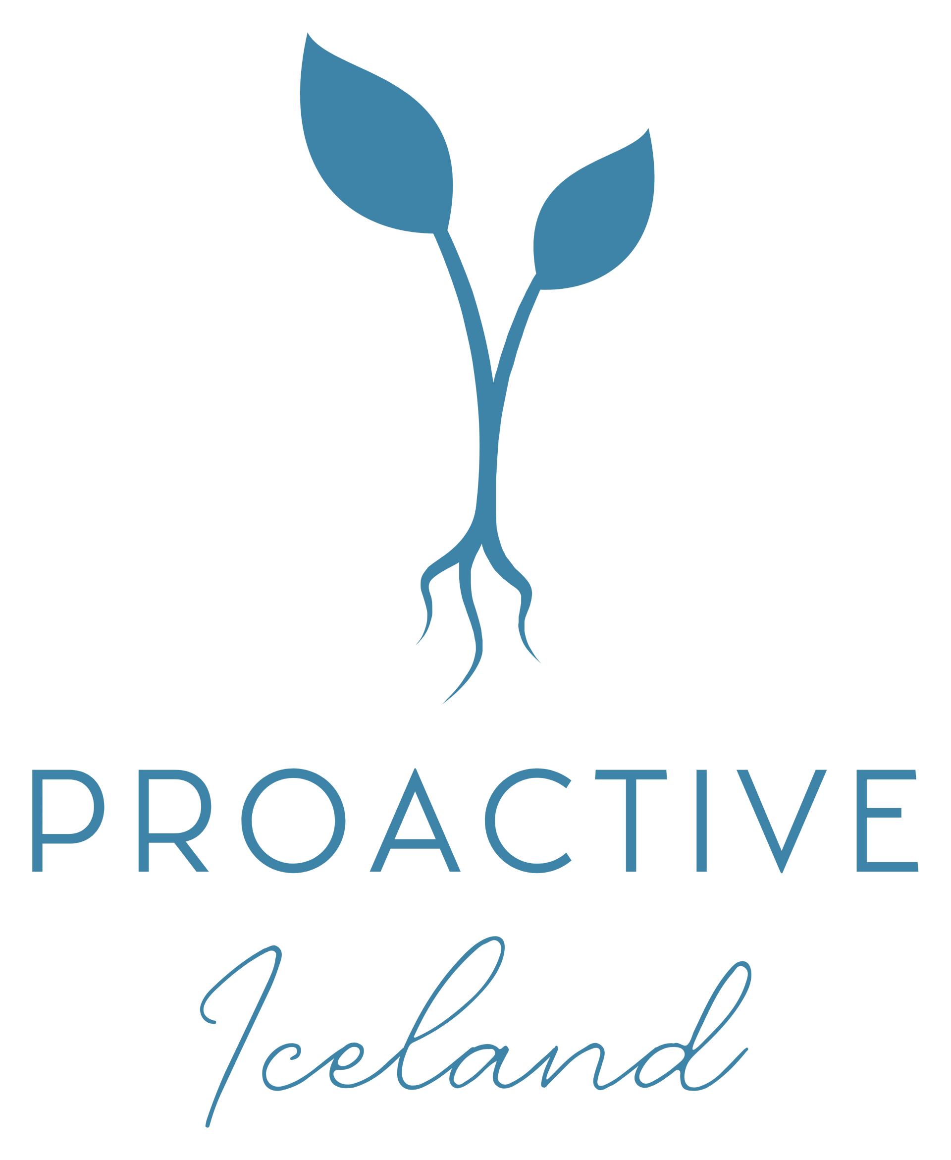 Home [proactiveiceland.com]