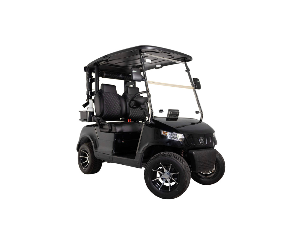 EPIC Carts | Naples, FL | Hole In One Golf Carts