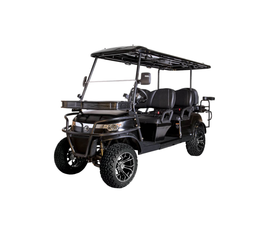 EPIC Carts | Naples, FL | Hole In One Golf Carts