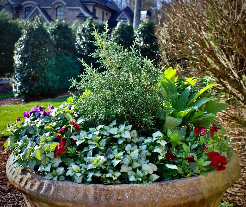 Felicity's Flowers And Landcape Design, Greenville SC