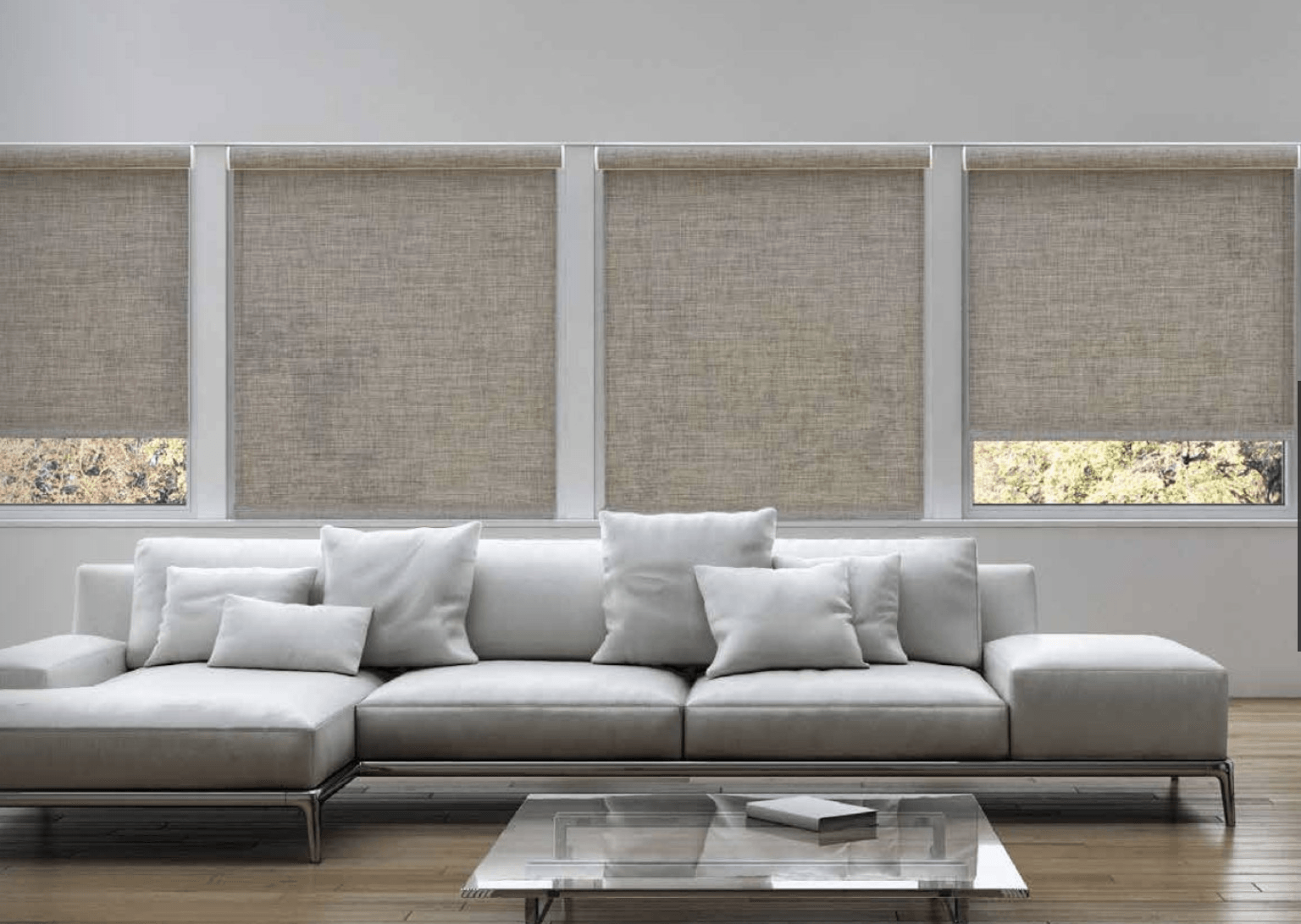 ROLLER SHADES - Window Spaces