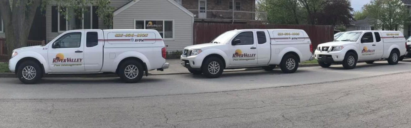 Pest Management Services | Bradley, IL | River Valley Pest Management