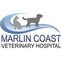 Meet the Team | Marlin Coast Veterinary Hospital