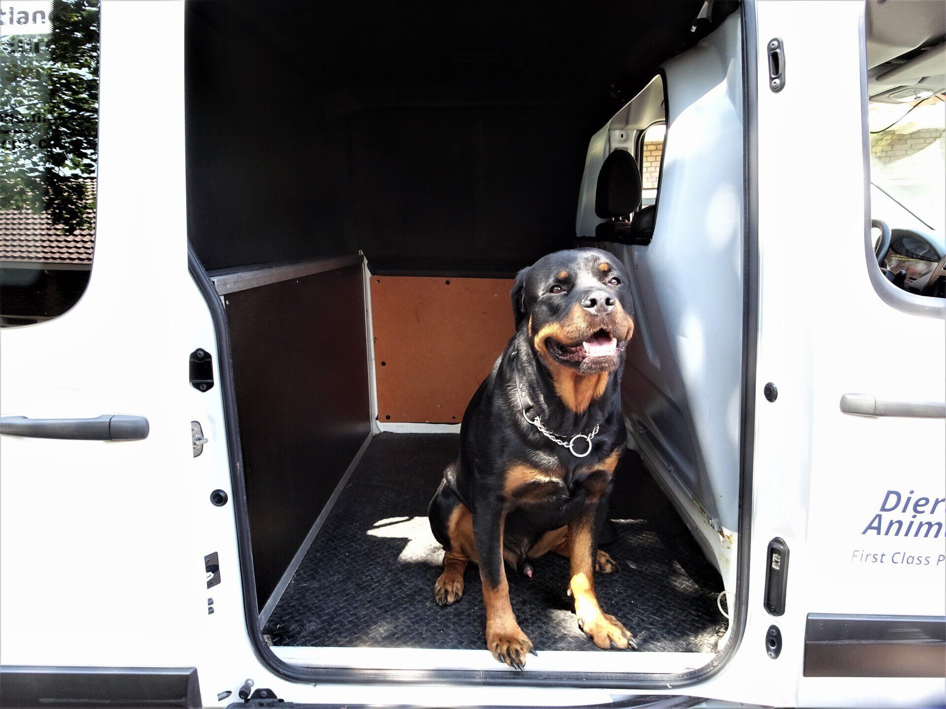 Pet Transport Services in Europe (EU) - Pet Transport Westland