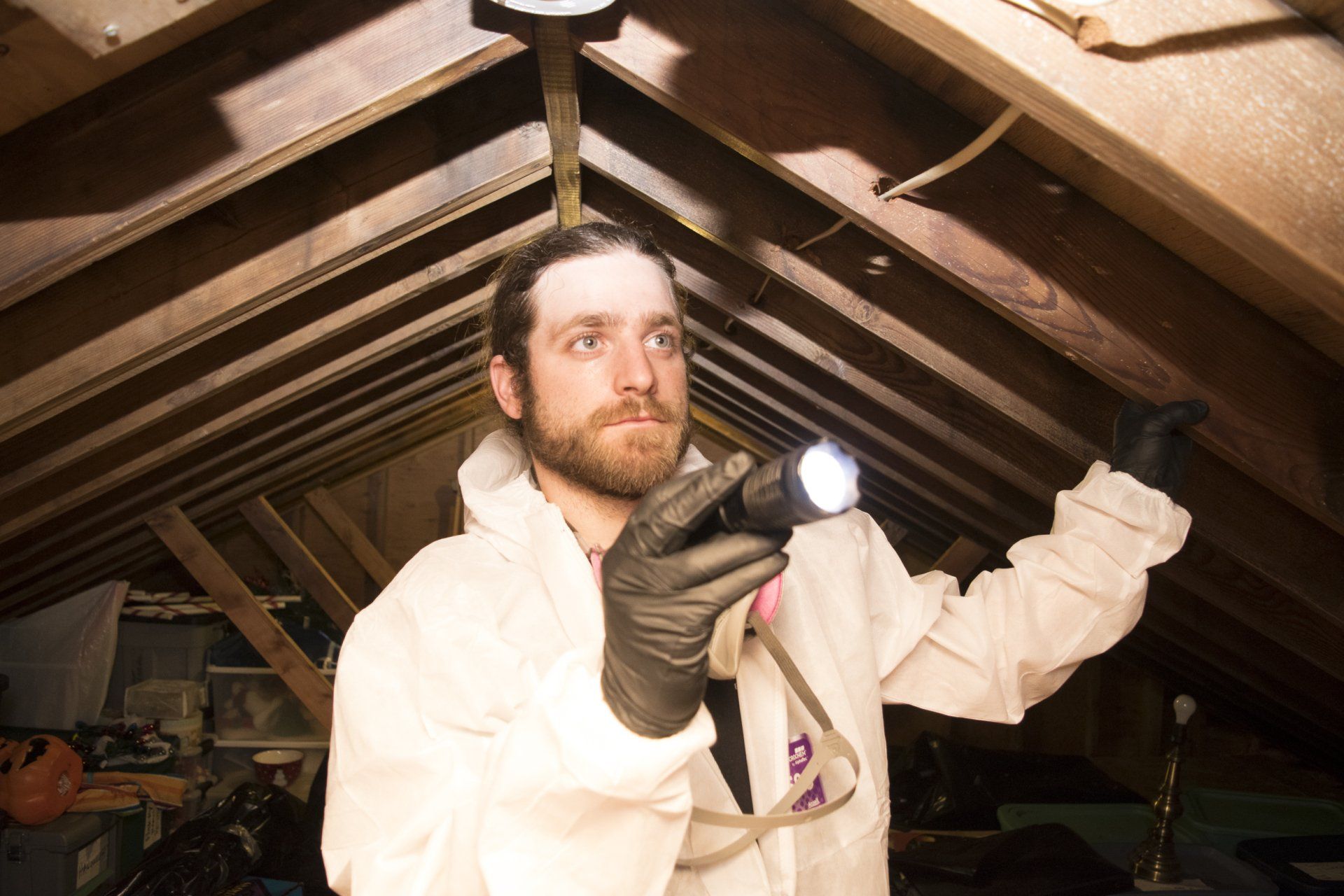 Mold Inspection Sparta NJ