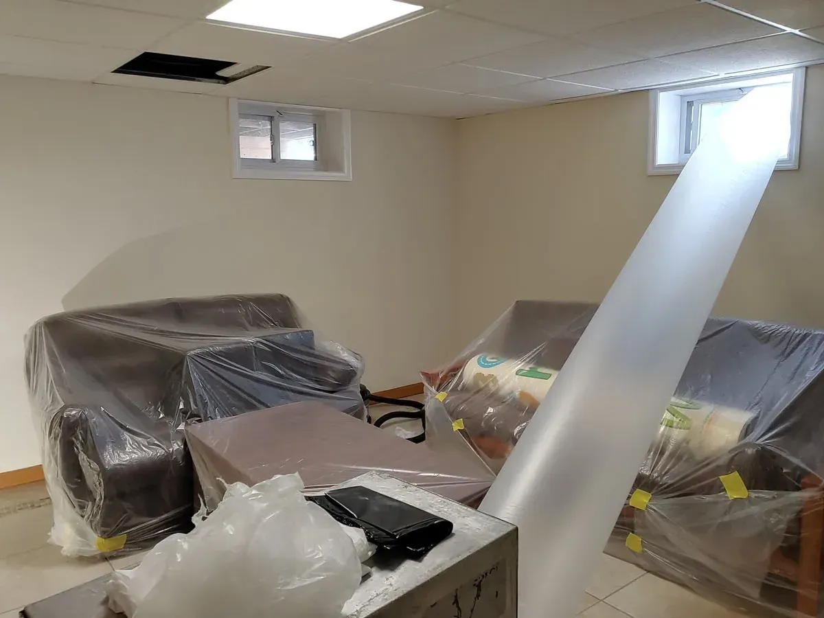 Why is Summer the Worst Season for Mold Growth in Summit, NJ?