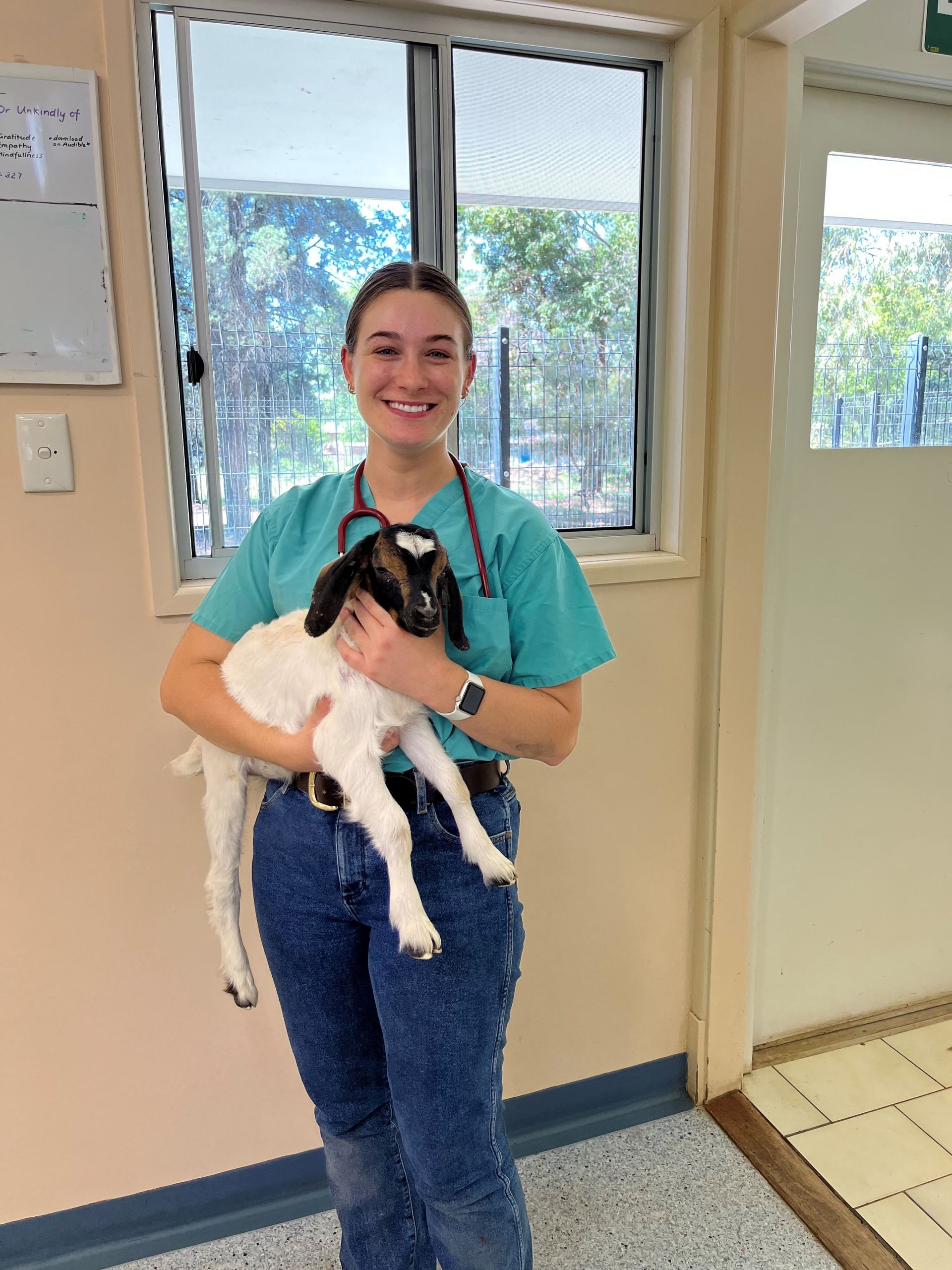 Experienced team of Vets & Vet Nurses at Chinchilla Vet Services