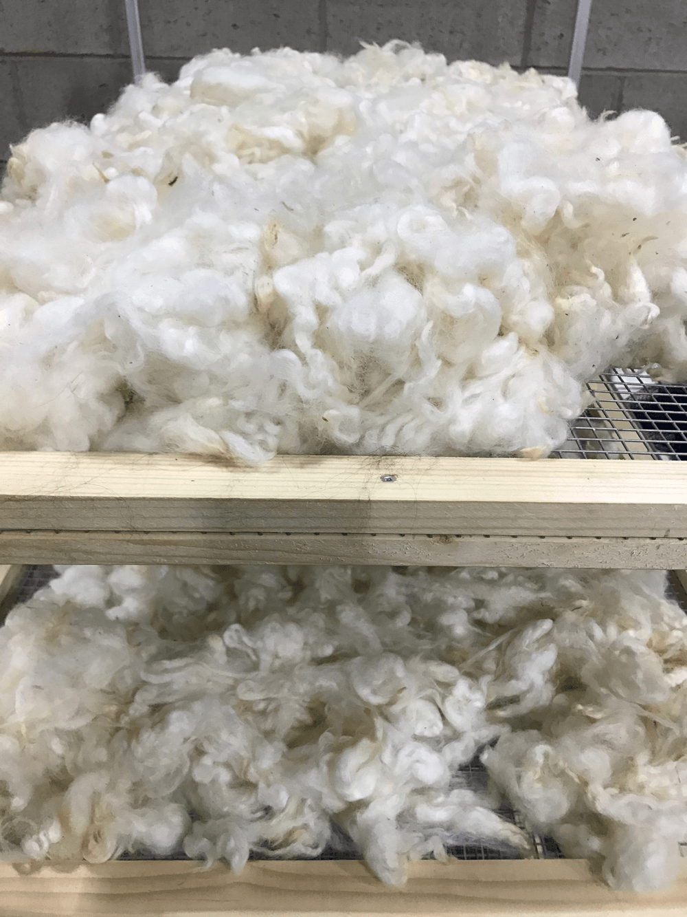 Yarn | Kamloops, B.C. | 250-319-0445