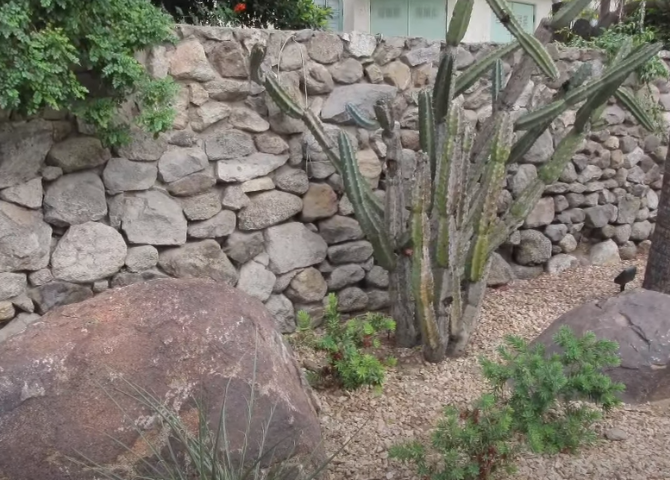 Landscape Design | Gilbert, Az | Design & Installation