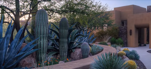 Landscape Design | Gilbert, Az | Design & Installation