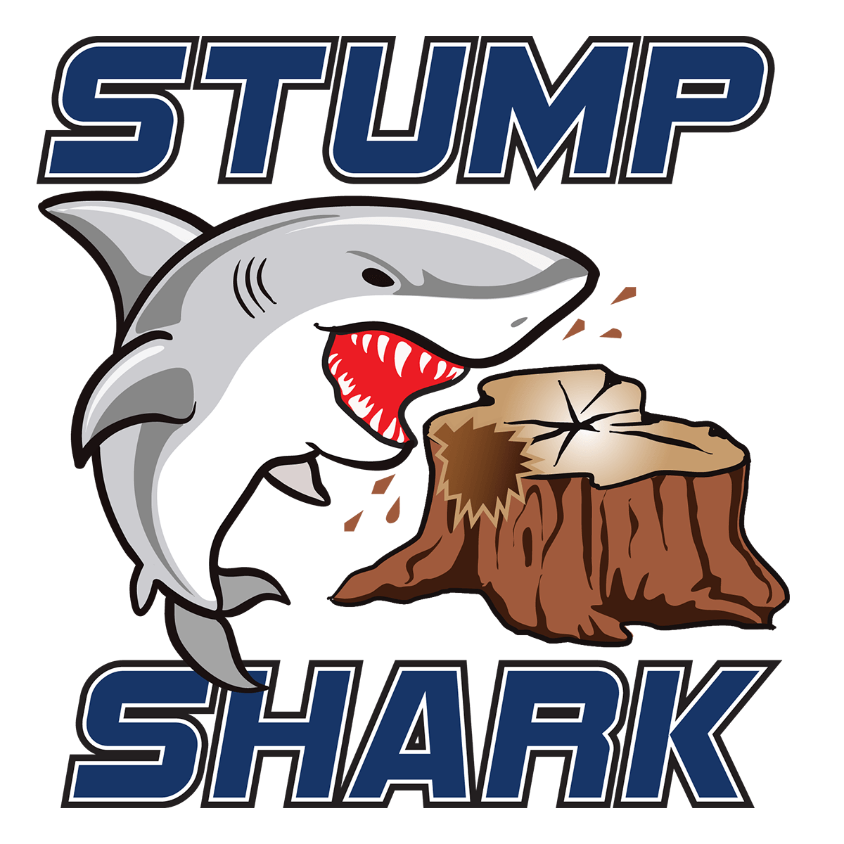 Professional CT Stump Grinding Licensed Insured