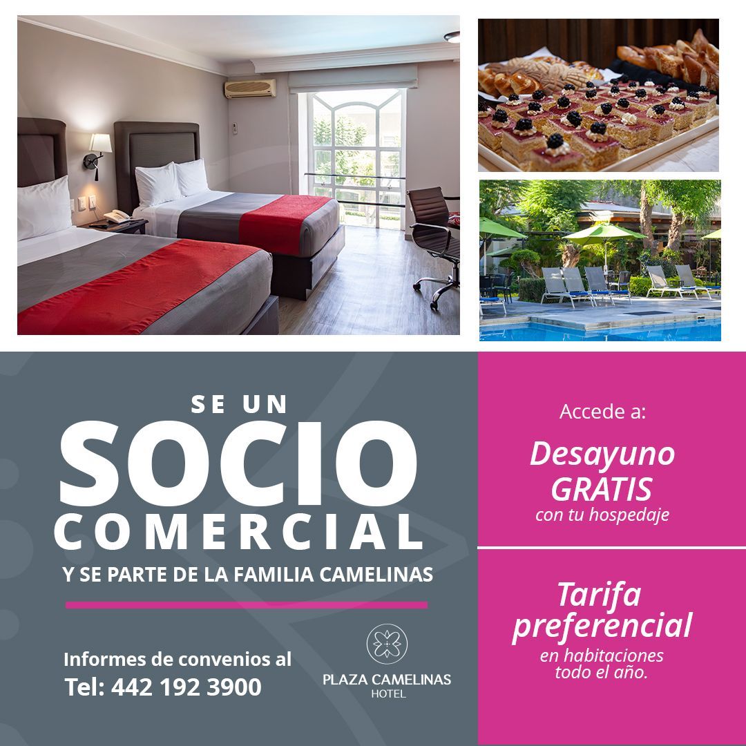 Promociones Vigentes | Hotel Plaza Camelinas