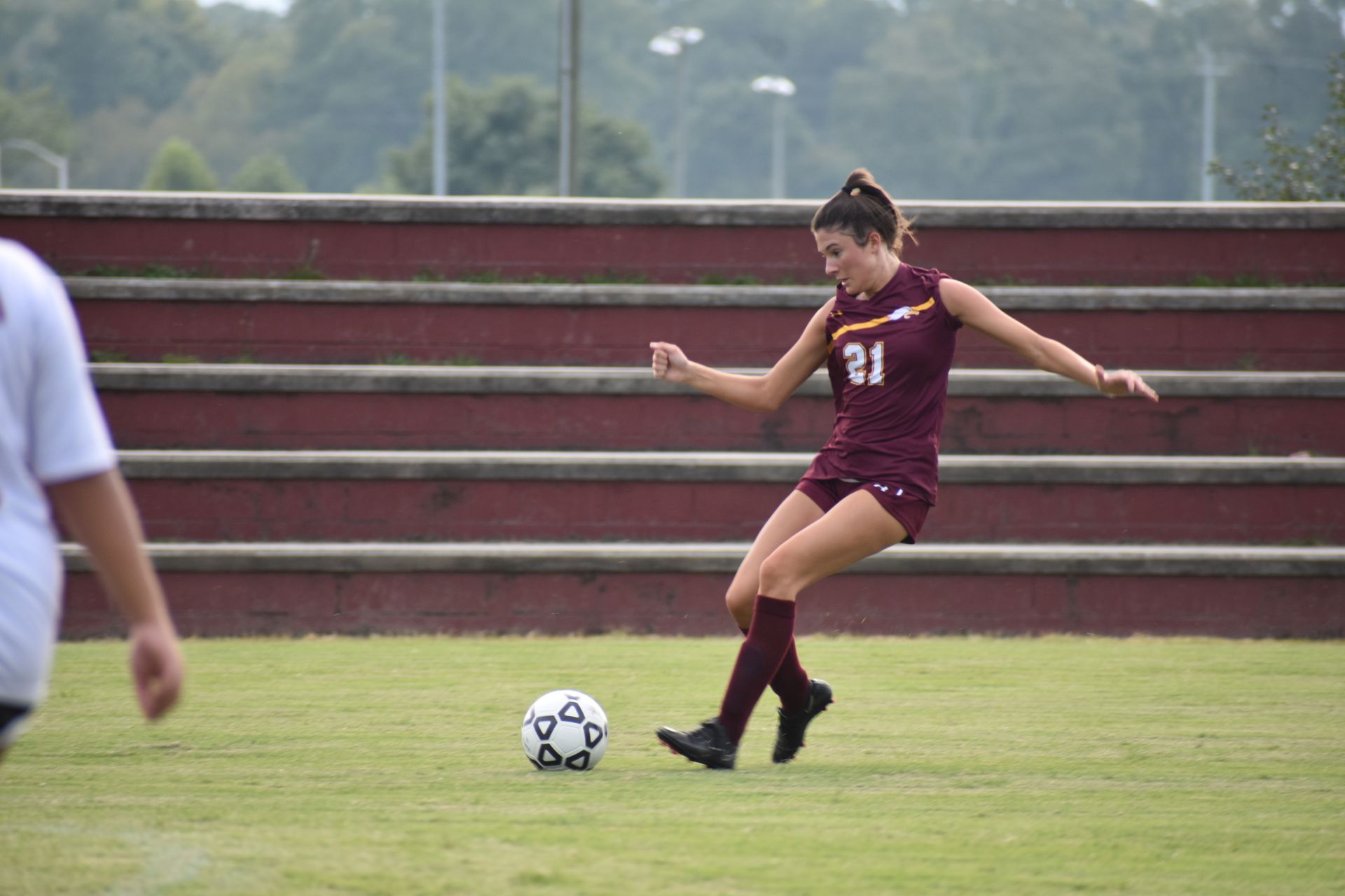 Soaring with the Golden Eagles