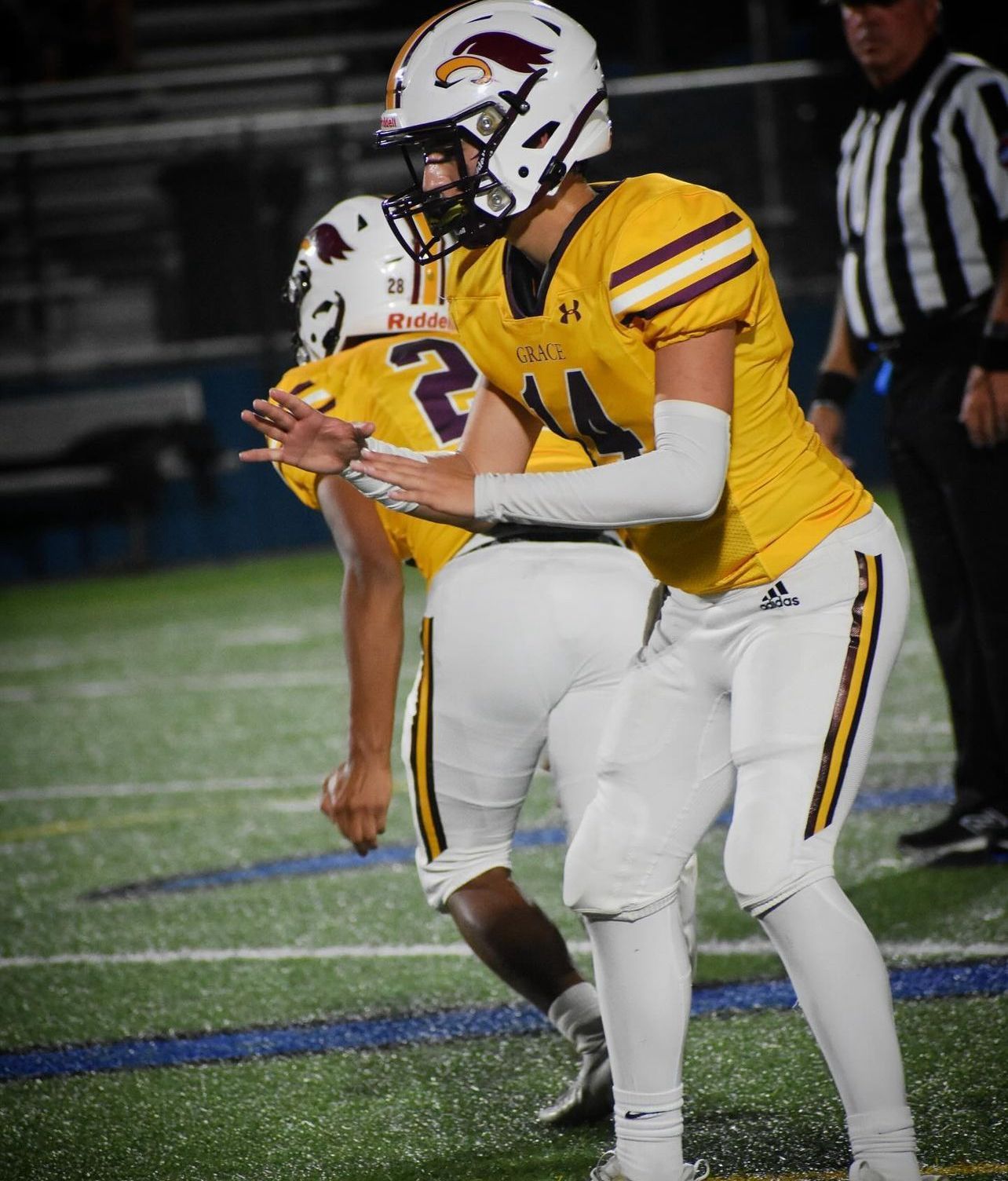 Soaring with the Golden Eagles