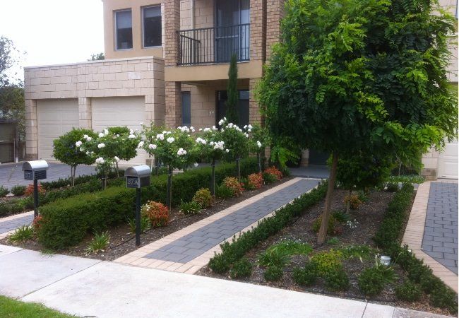 Landscape Garden Designer Brisbane | Planting Solutions