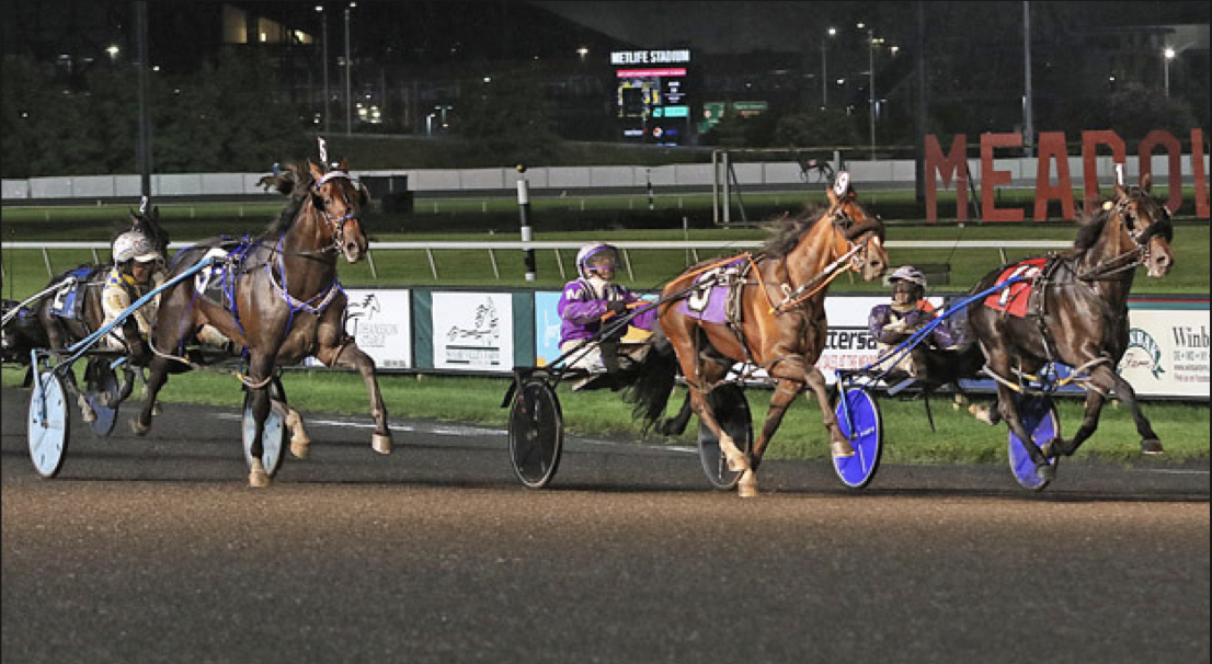 Congratulations to Lawless Shadow For Winning The Meadowlands Pace
