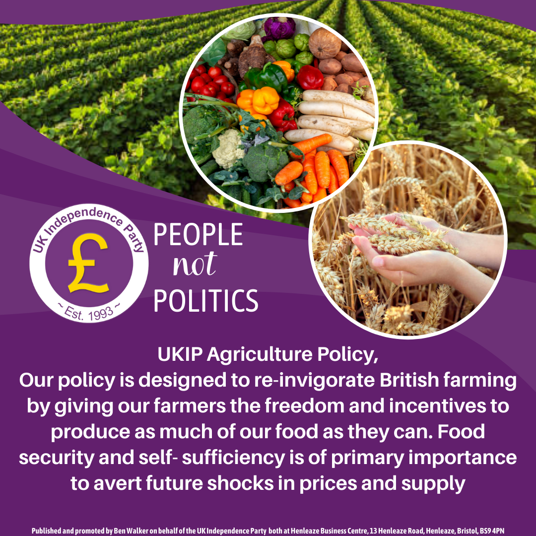 UKIP Members | Downloadable Posters