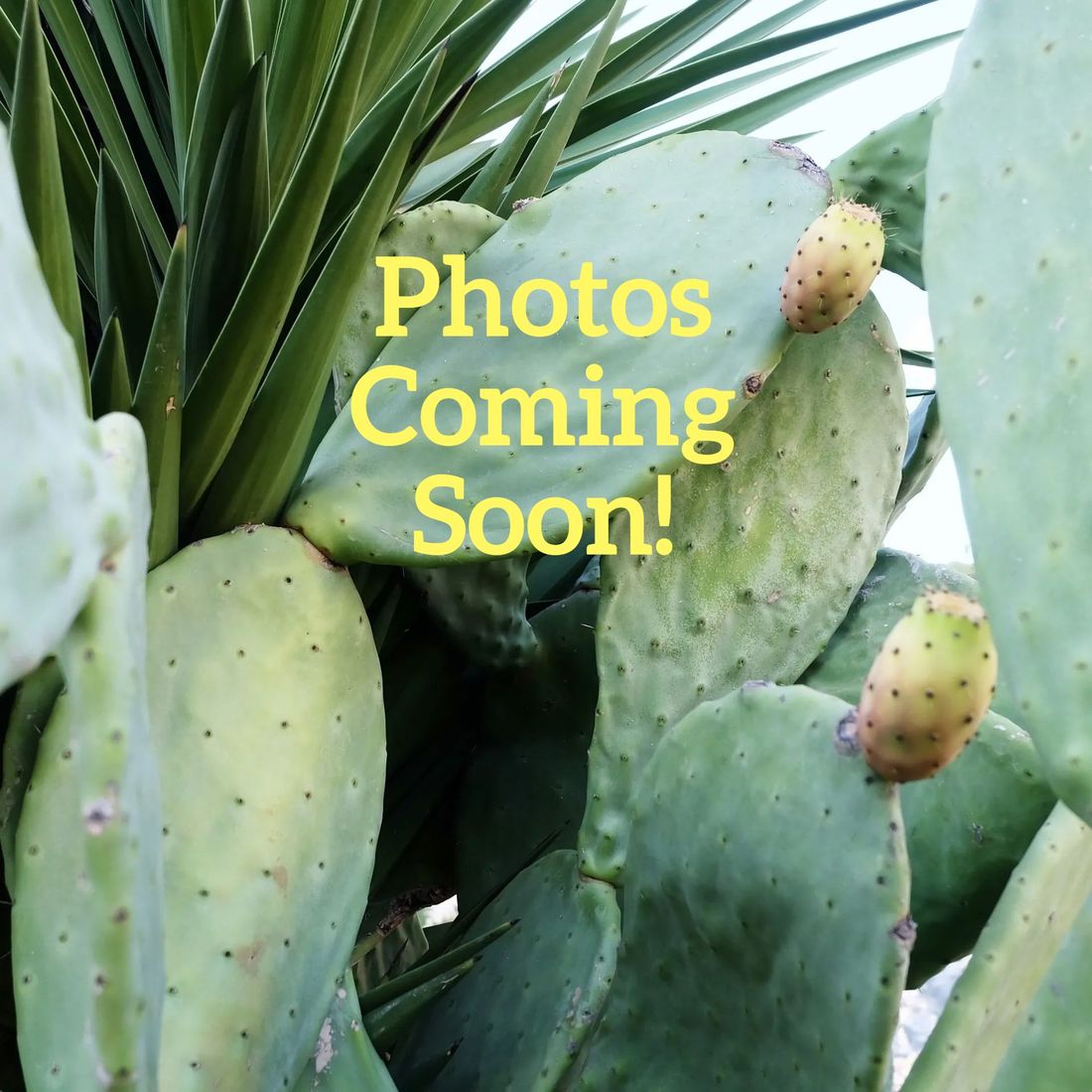 Bears Ears Inn | Hotel in Blanding, Utah | Lodging Near Blanding, Utah