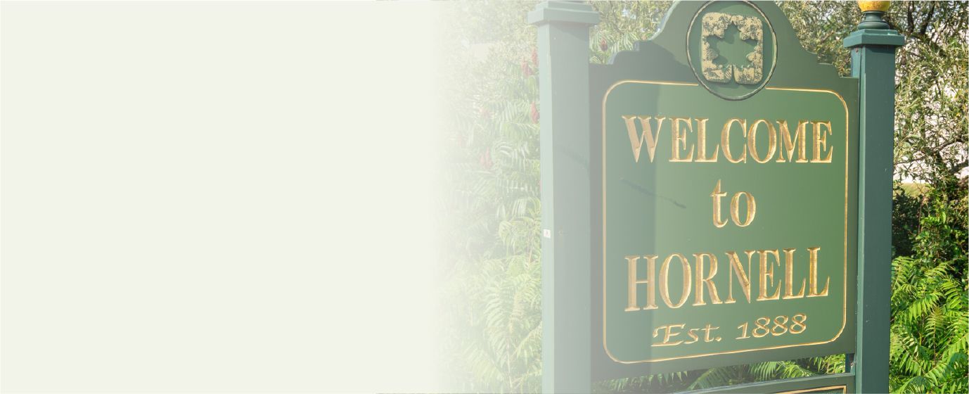 Hornell NY Chamber of Commerce 14843