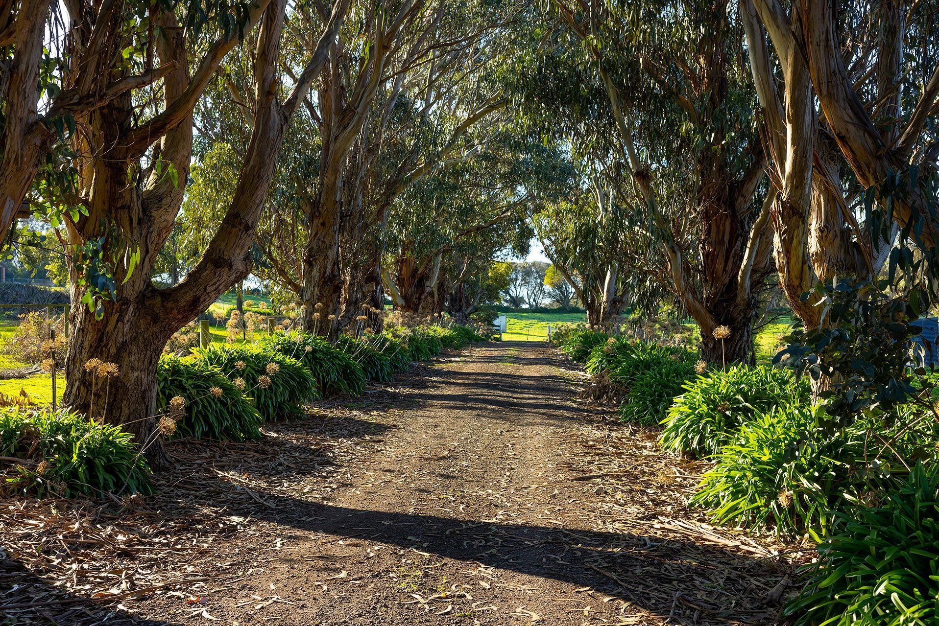 Explore Tower Hill Reserve | Port Fairy