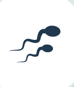 Dr Crawford | Fertility Specialist Sydney | Male Infertility