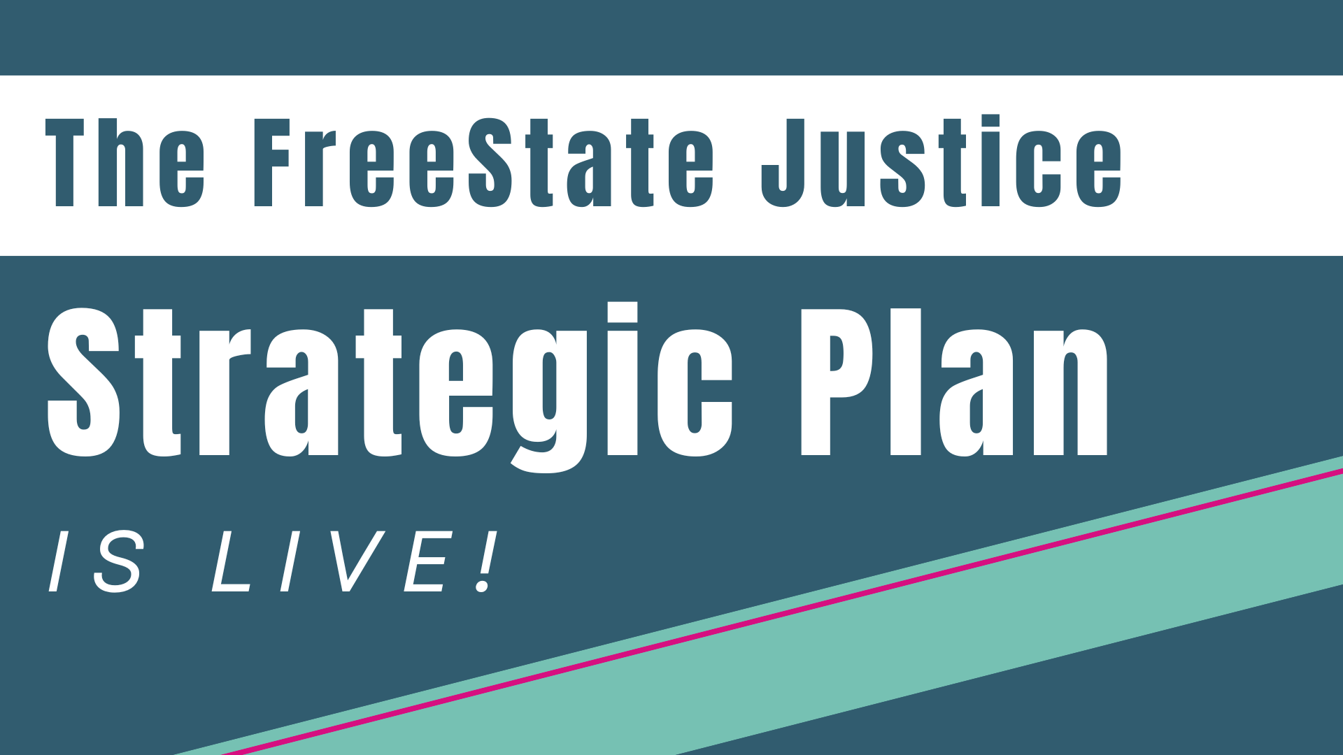 FreeState Justice Launches 2025–2028 Strategic Plan to Advance Equity ...